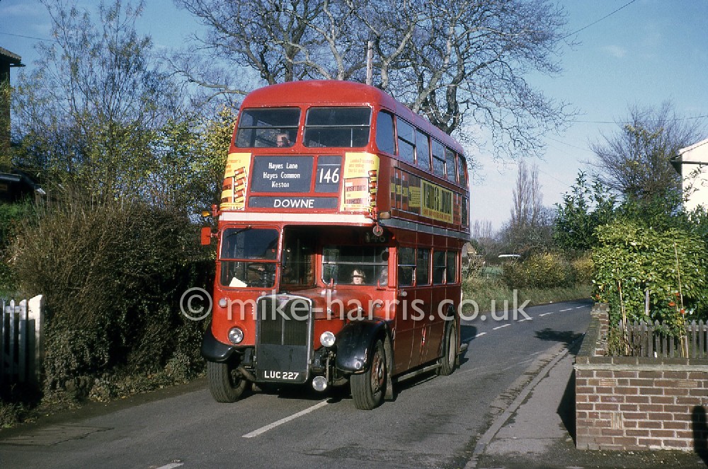 London Bus Route 146